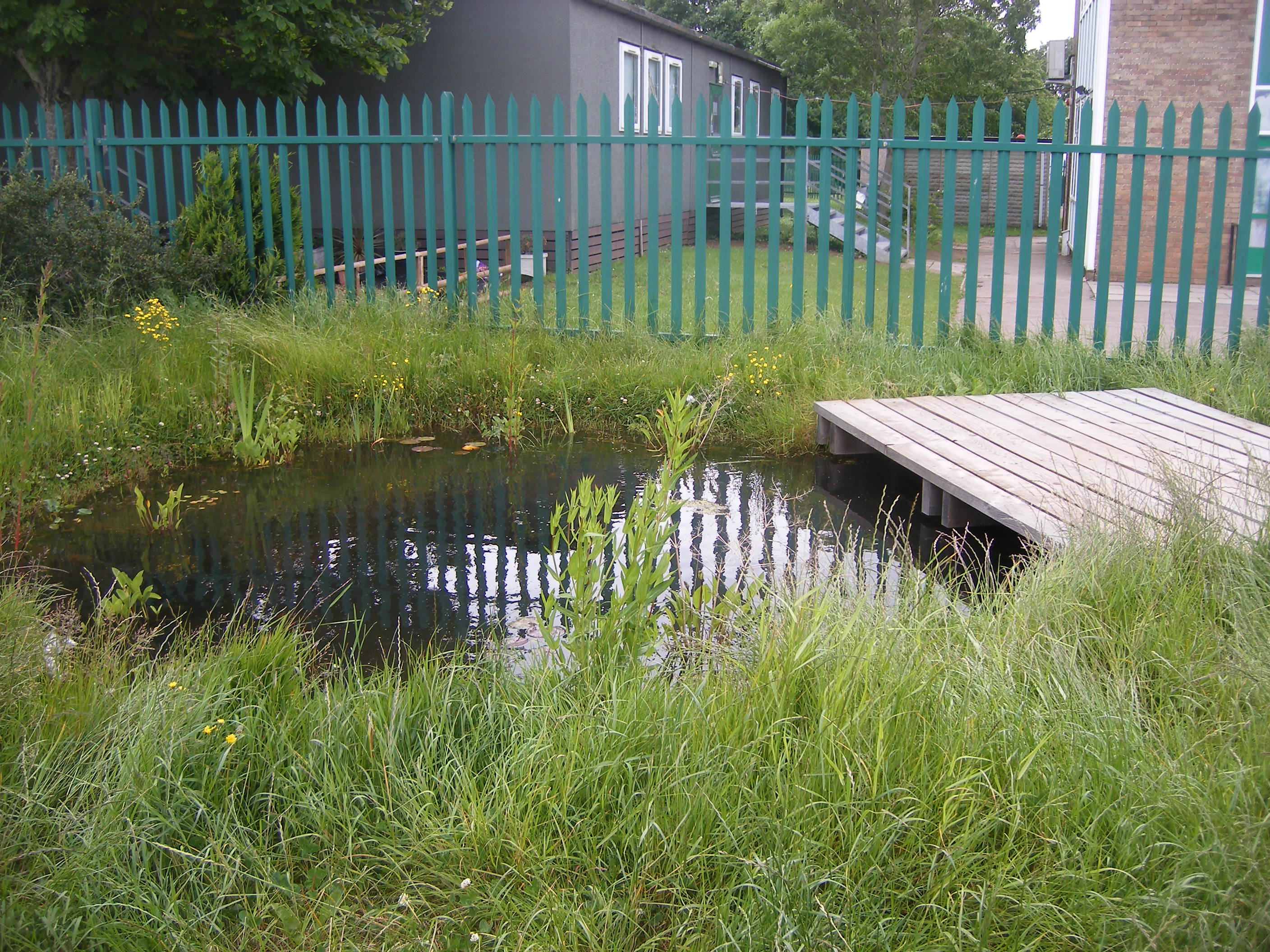 Wildlife Ponds | Good Grounds and Gardens